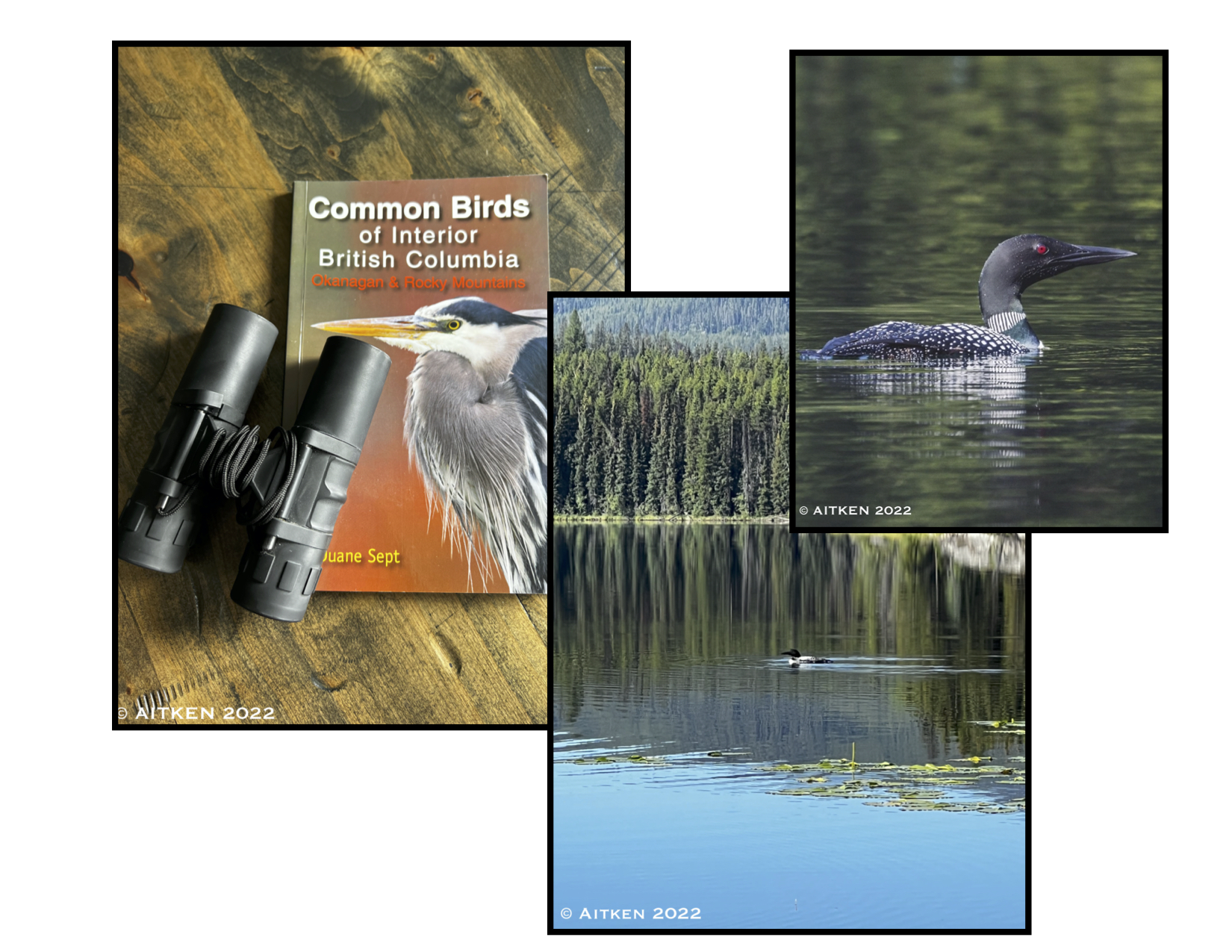 ACTIVITIES – Idabel Lake Private Residences & Cottages