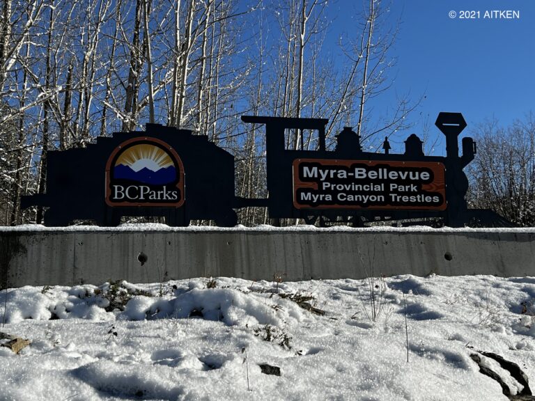 ACTIVITIES – Idabel Lake Private Residences & Cottages