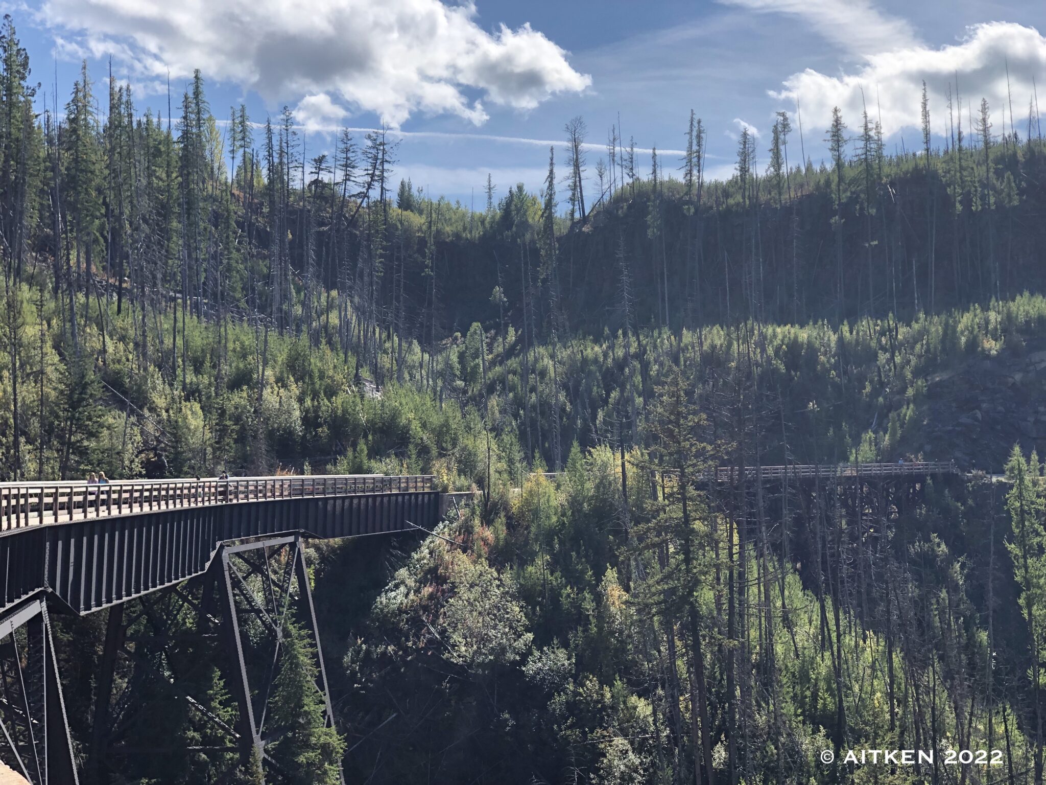 ACTIVITIES – Idabel Lake Private Residences & Cottages